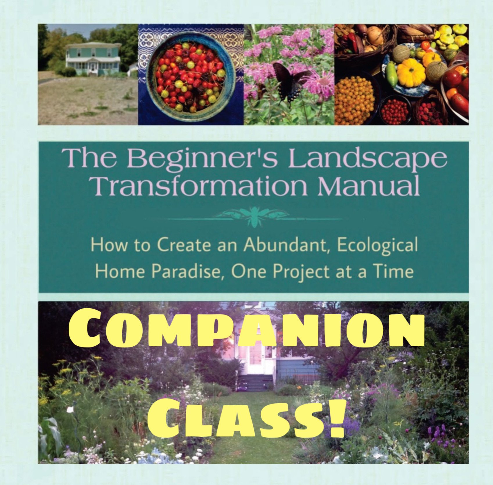 The Landscape Transformation CLASS! - Payhip