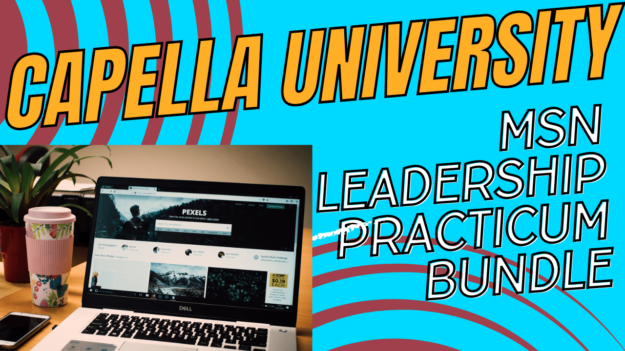 MSN - LEADERSHIP BUNDLE - Payhip