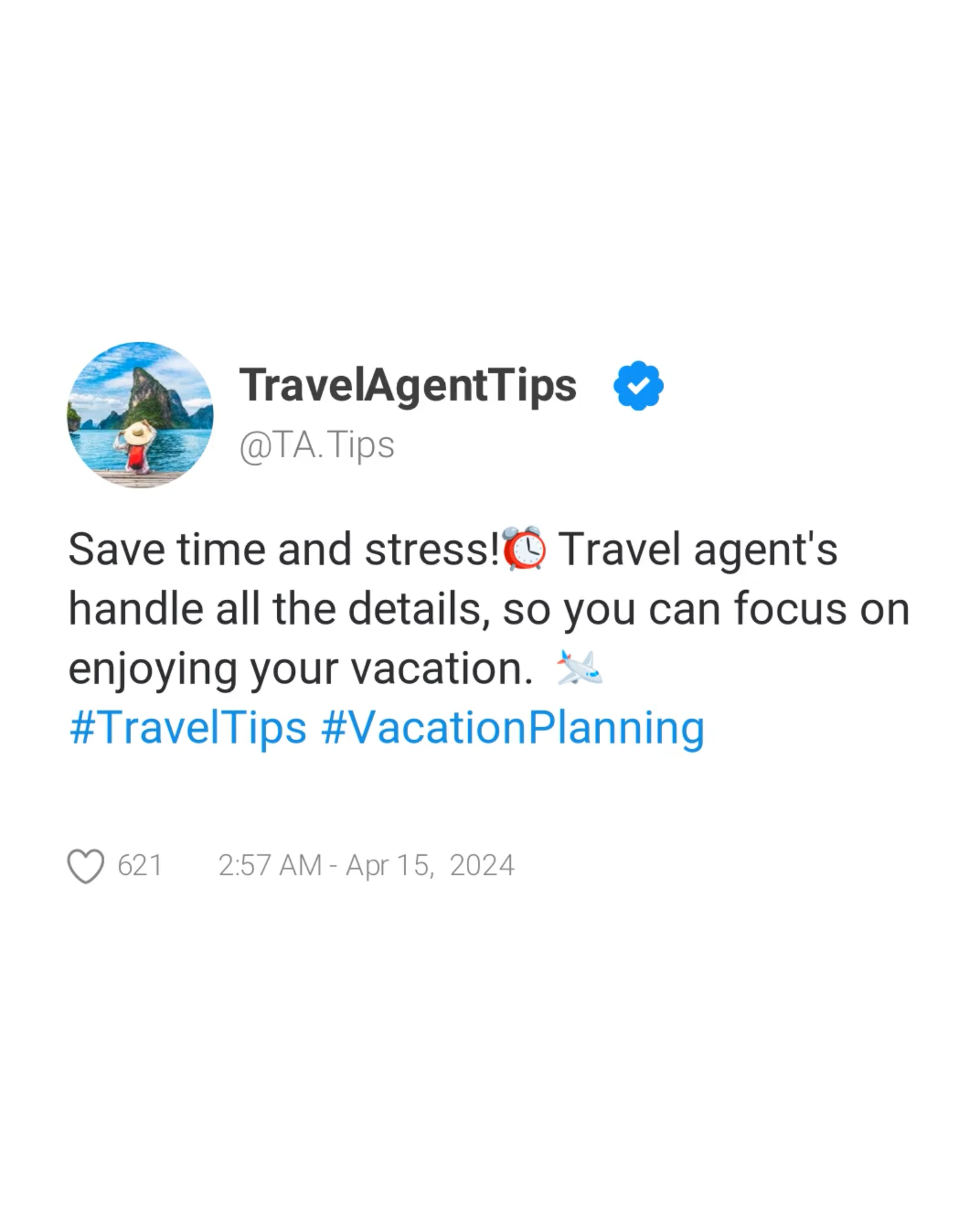 Travel Agent Tip Marketing Video - Save Time and Stress - Instant ...