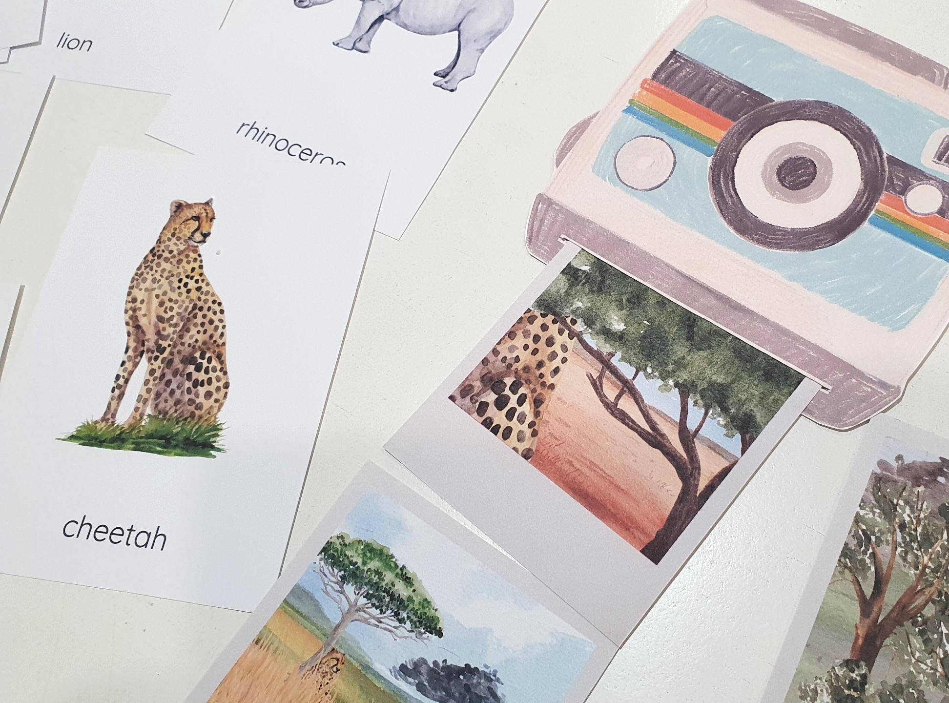 Safari Animal Find and Match Game - Payhip