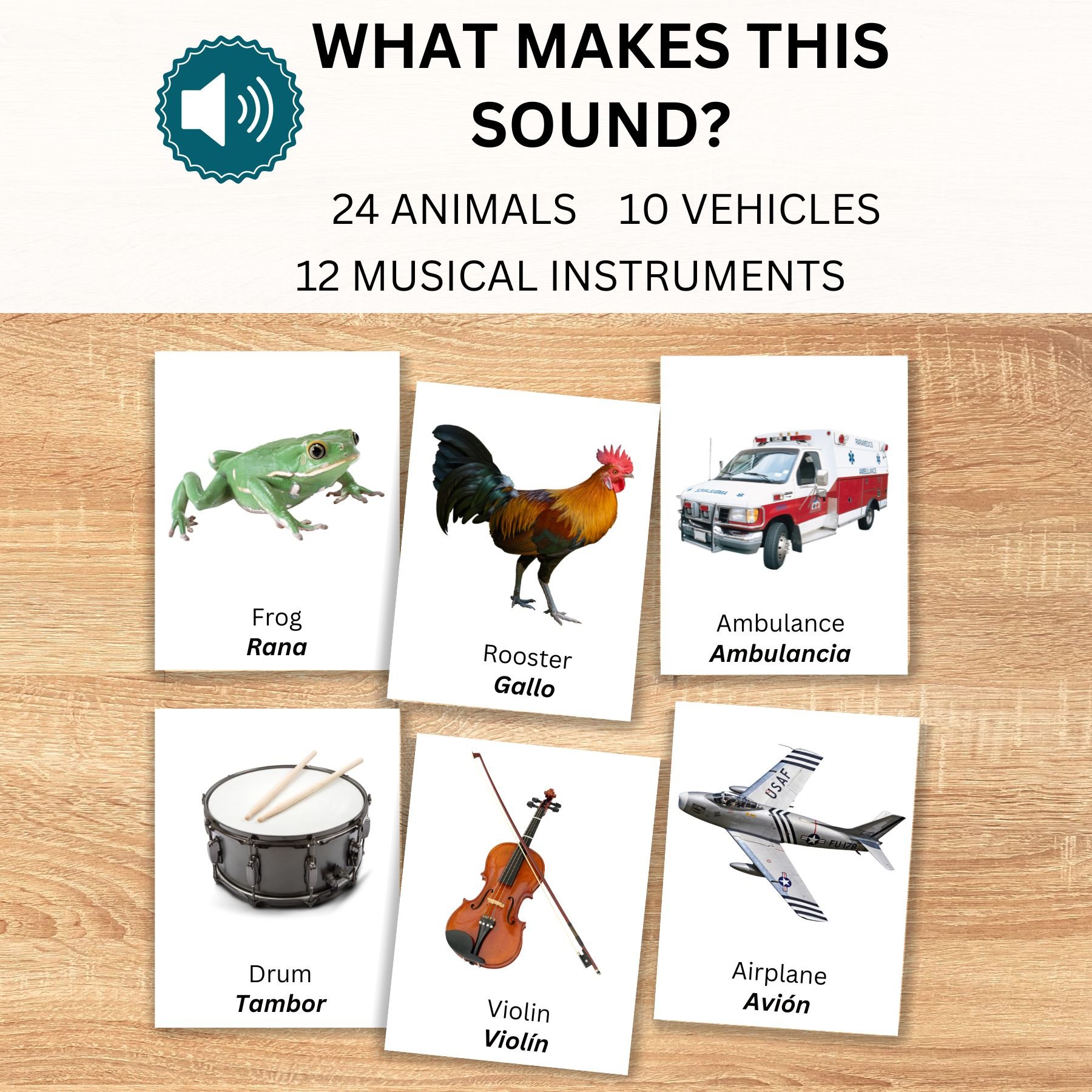 SOUND CARDS BUNDLE: Animals - Musical instruments -Vehicles