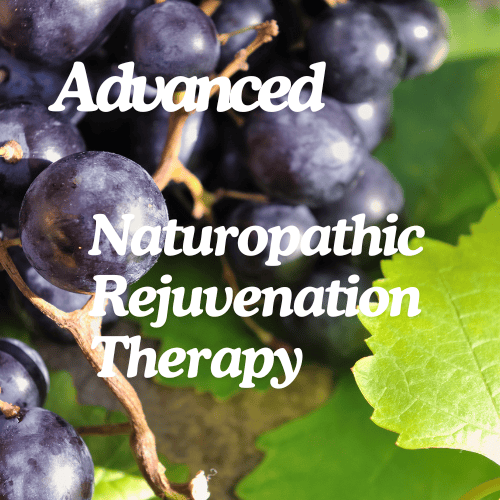 School of Modern Naturopathy - Courses