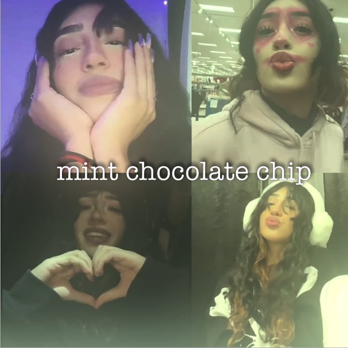 Mint chocolate chip vsp cc - Payhip