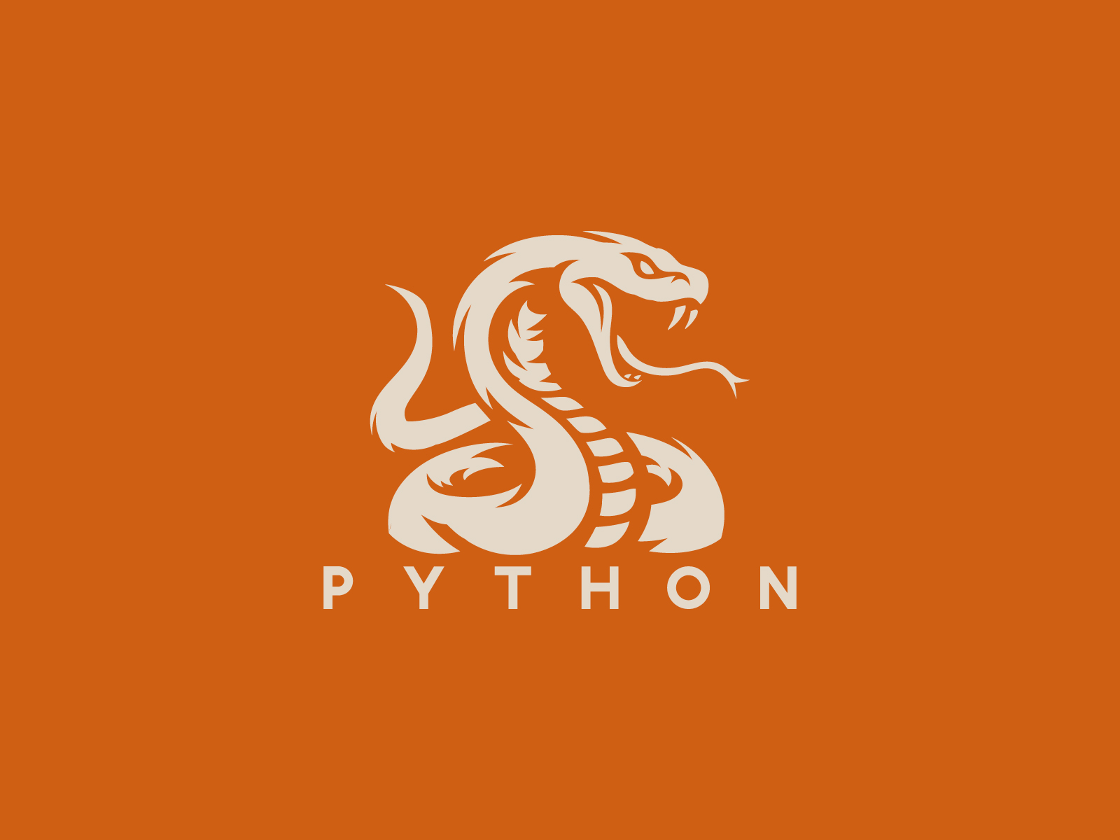 Python Logo - Payhip