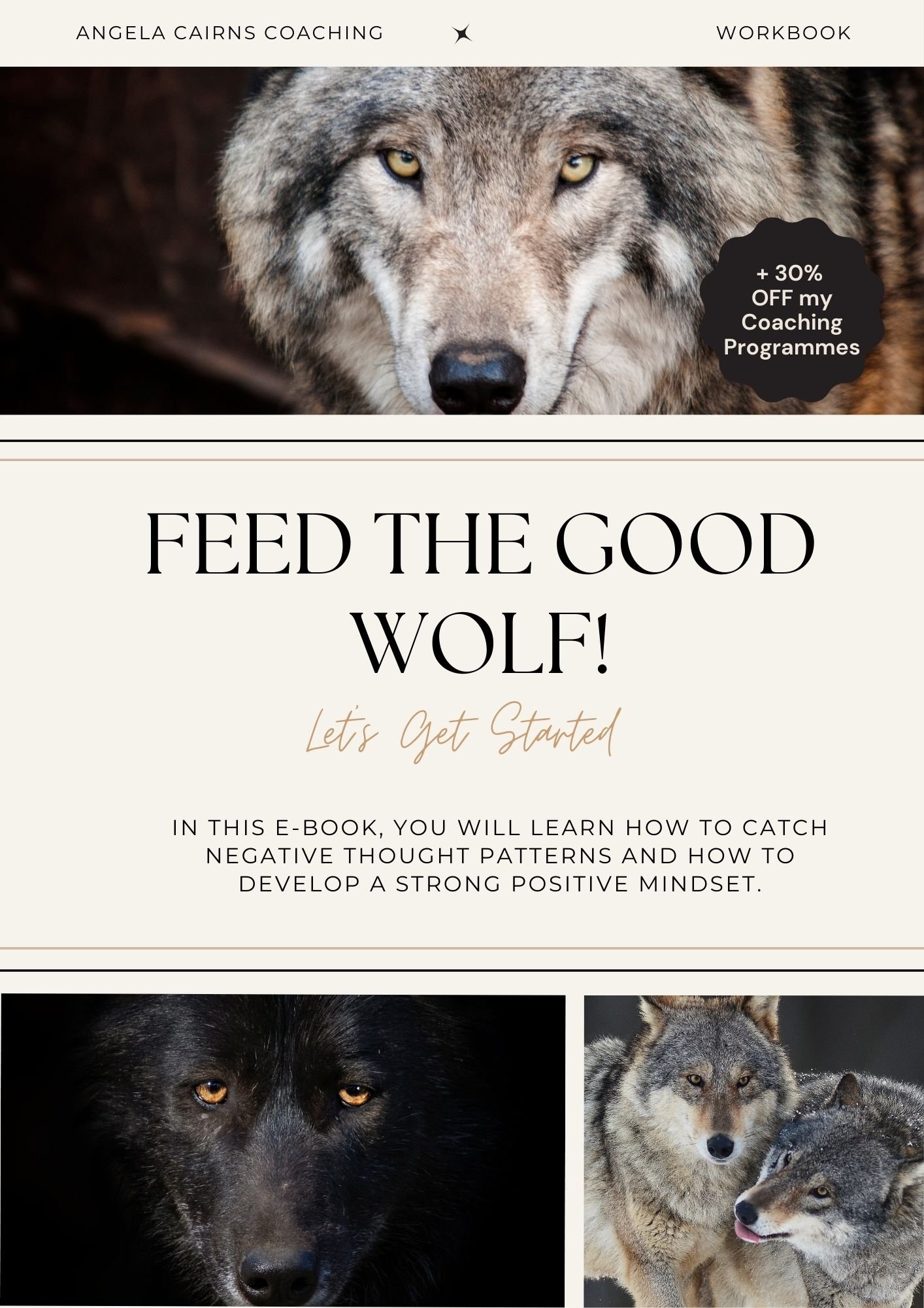 Feed The Good Wolf - Payhip