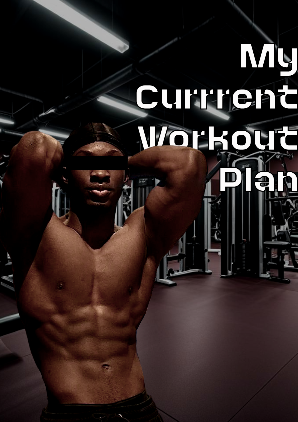 My Workout Plan - Payhip