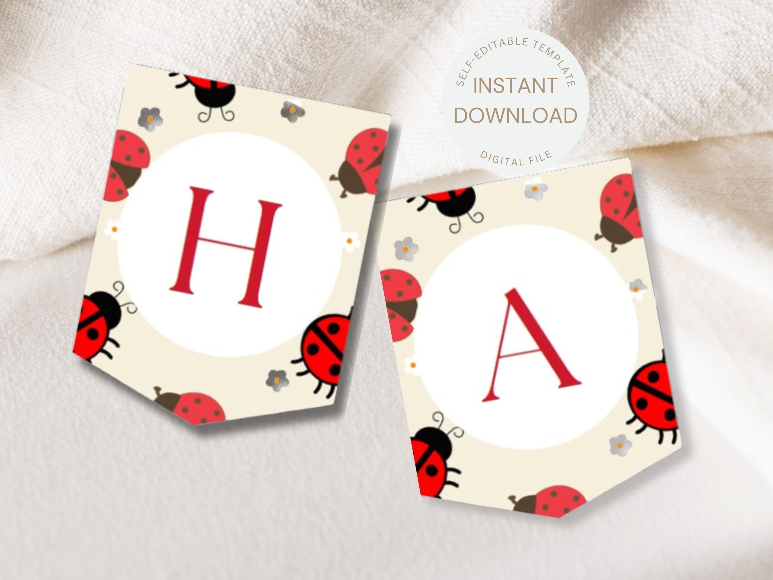 Cute Ladybug Daisy Birthday Party Banner - Digital Download - Editable ...