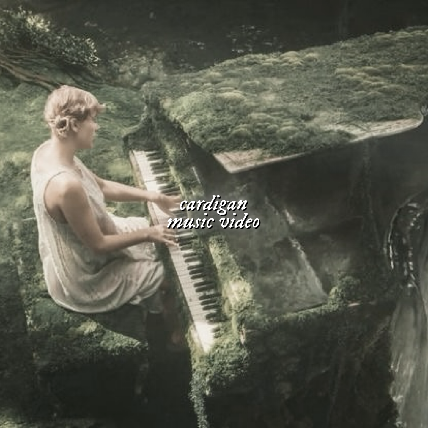 taylor swift 'cardigan' music video ☁️⋆˙⊹ - Payhip