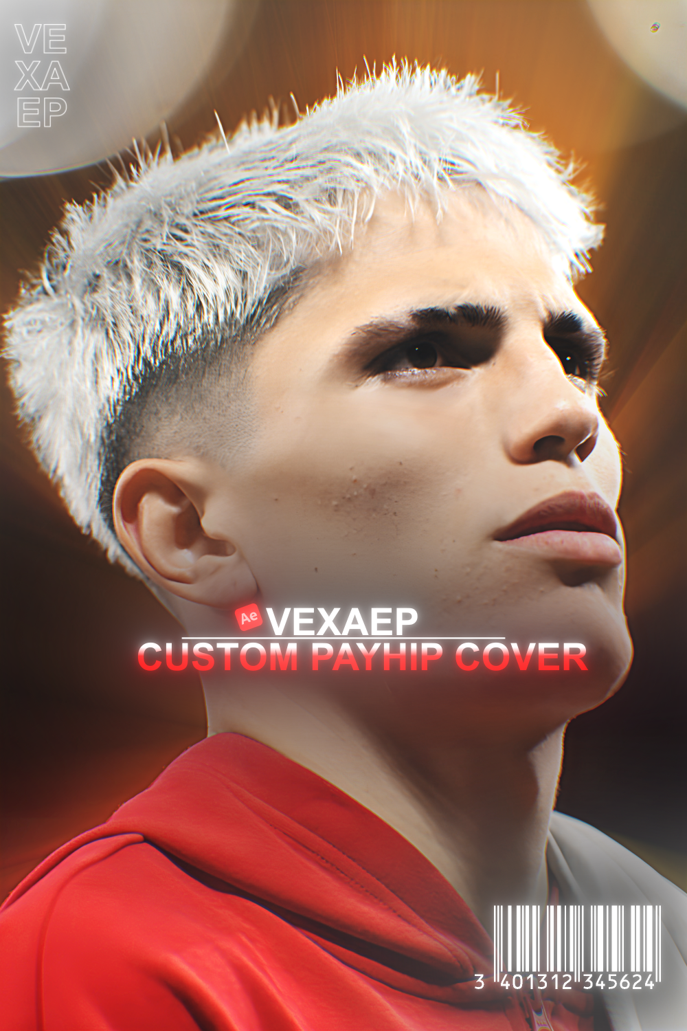 VEX.AEP'S CUSTOM COVERS - Payhip