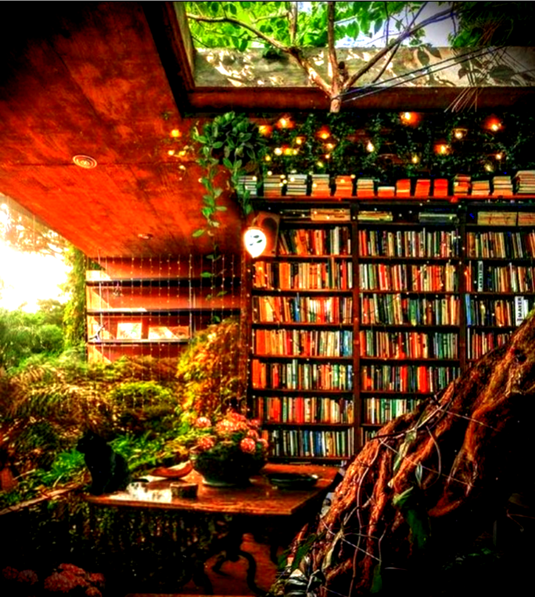 Akashic Library And Past Life: Healing A Life Together - Payhip