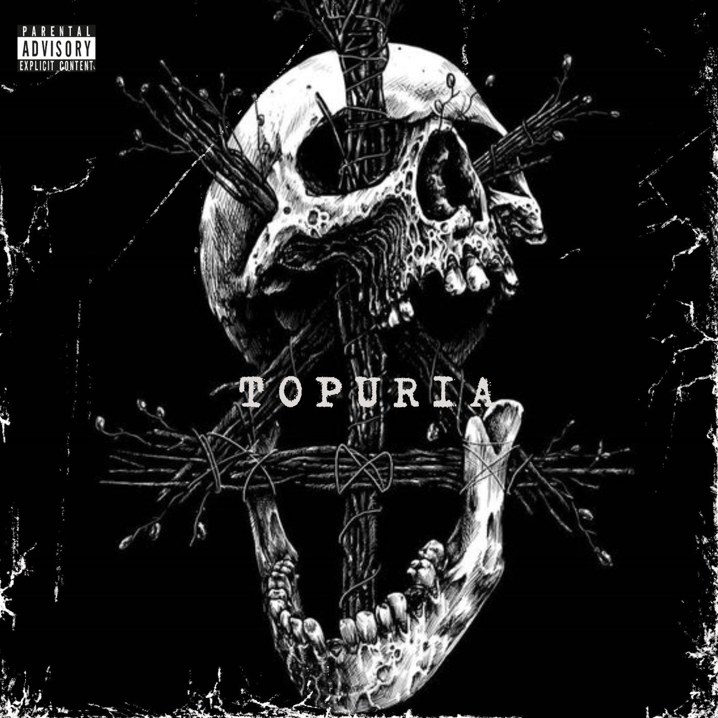 TOPURIA - SAMPLE PACK - Payhip