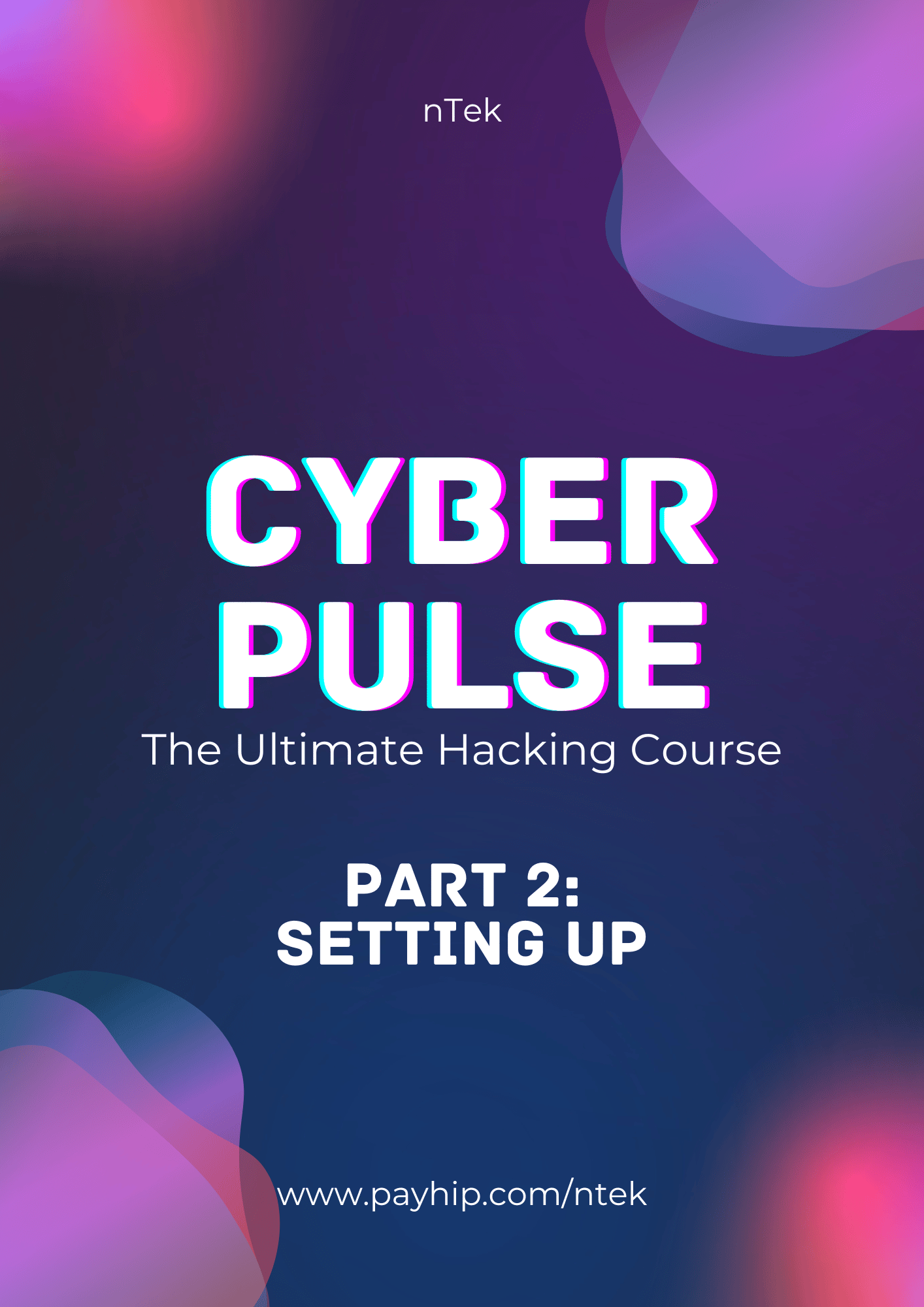 Cyber Pulse, Part 2: Setup - Payhip