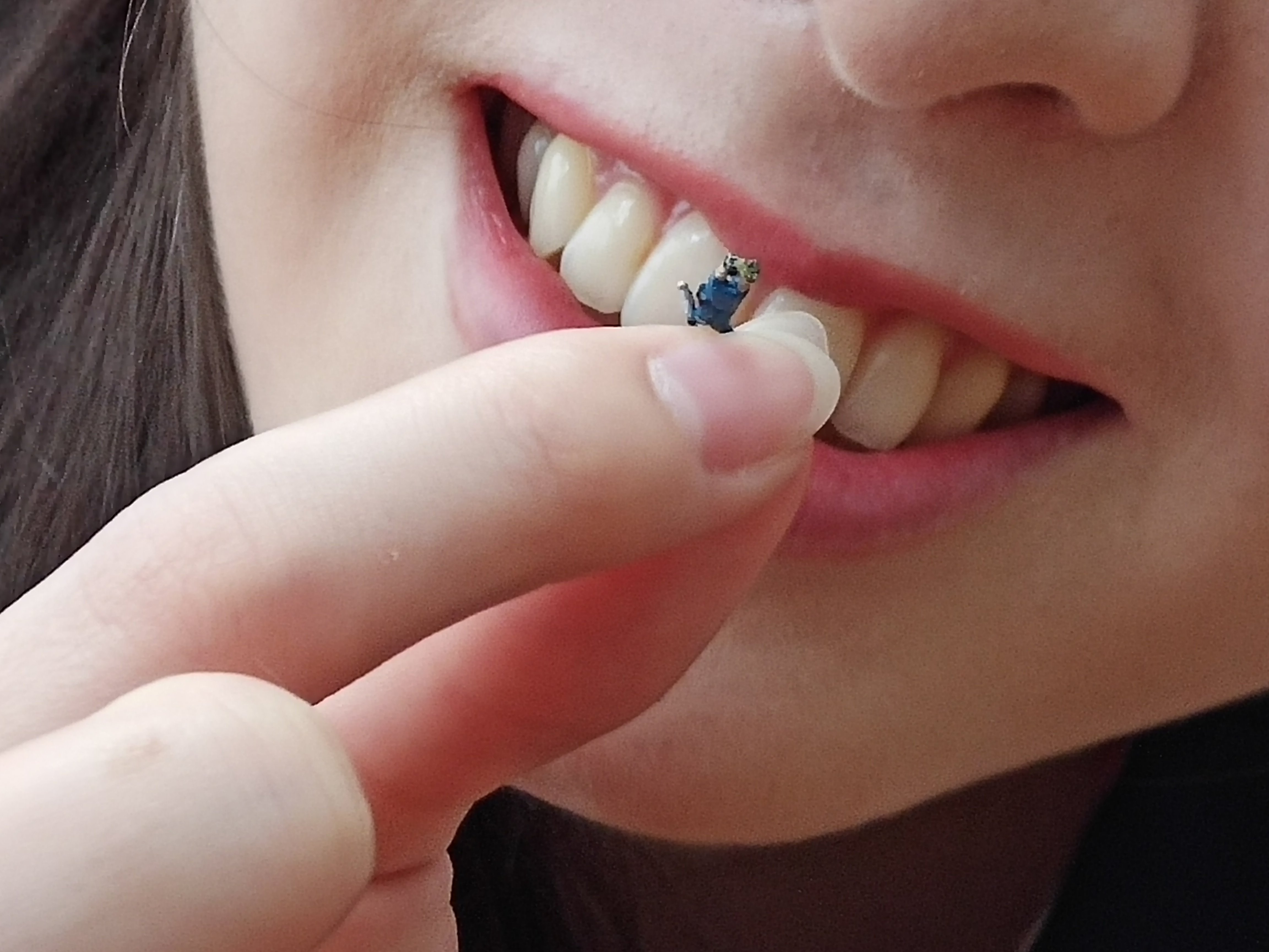 Liqid Studio - Payhip