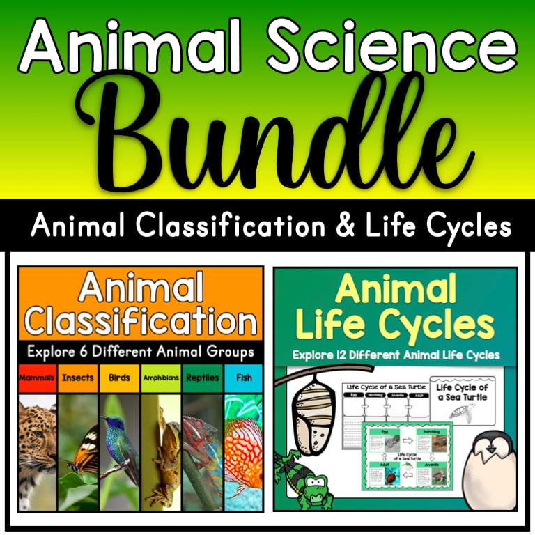 Animal Science BUNDLE - Animal Classification & Life Cycles
