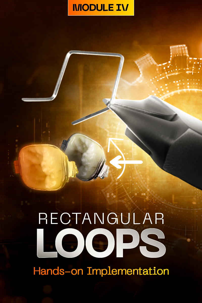 Online Workshop THE TOOLS-2 [Loops and Springs]