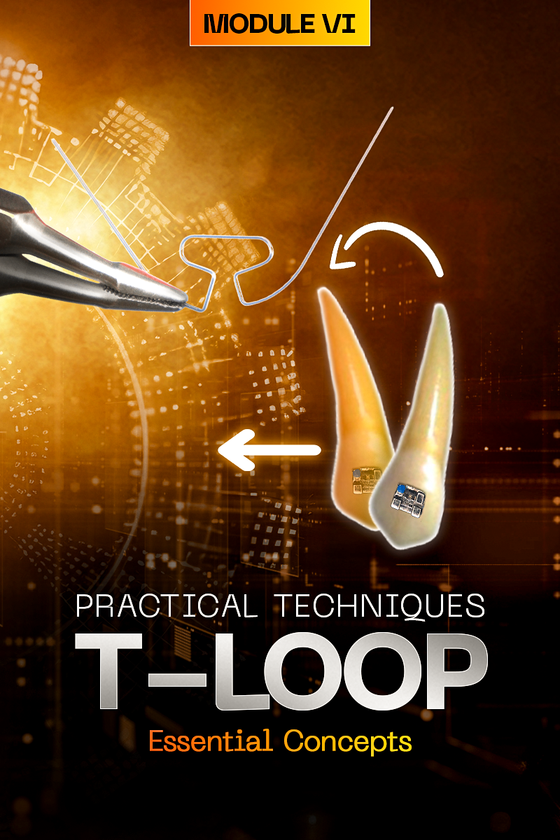 Online Workshop THE TOOLS-2 [Loops and Springs]