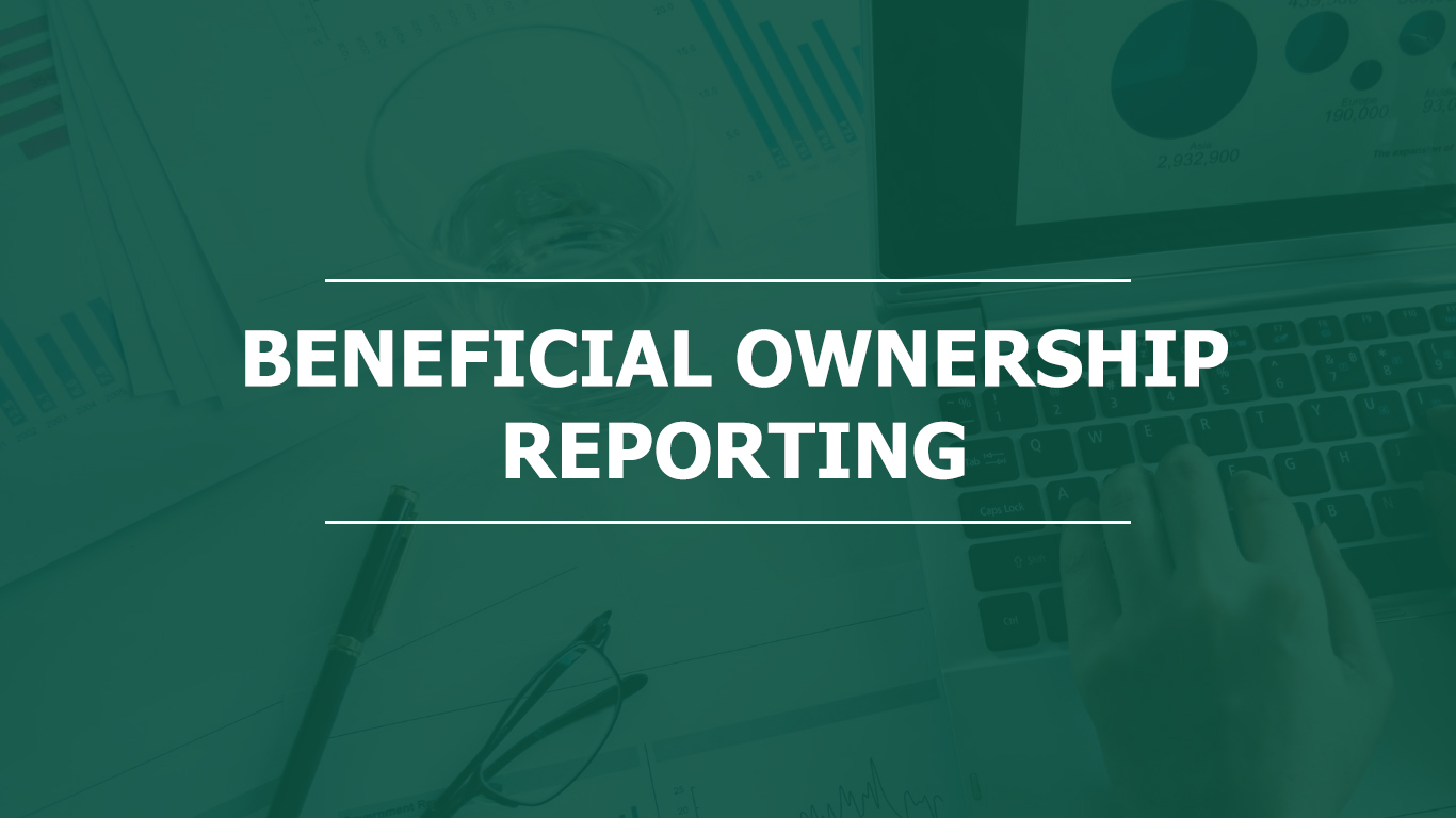 BOI REPORTING - Payhip