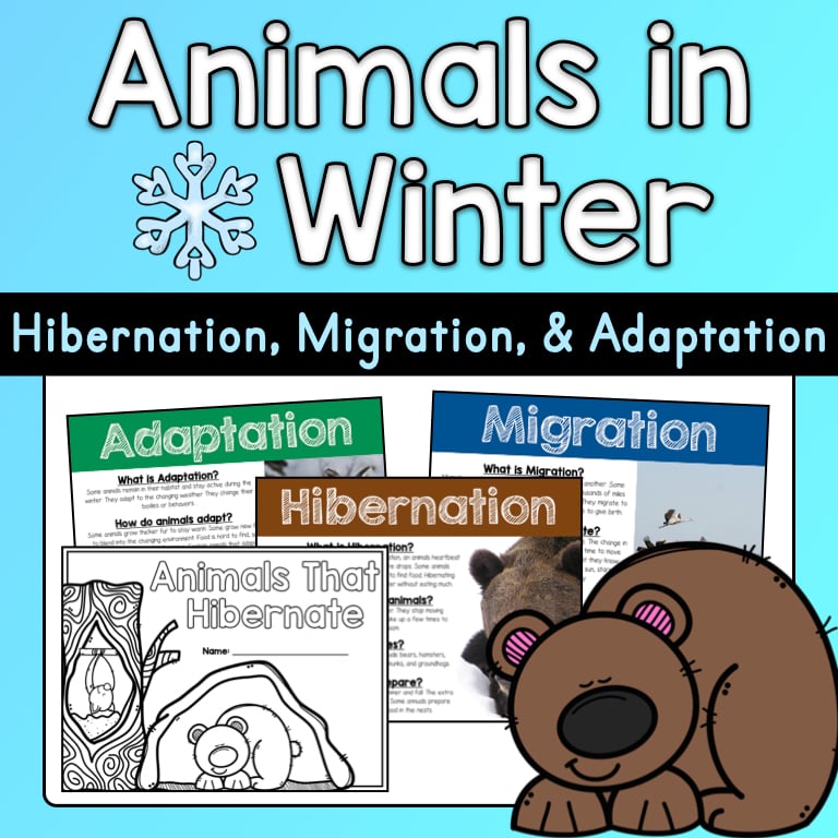 Animals in Winter - Hibernation, Migration, Adaptation - Science & Writing