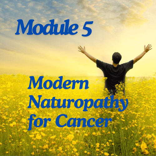 School of Modern Naturopathy - Courses