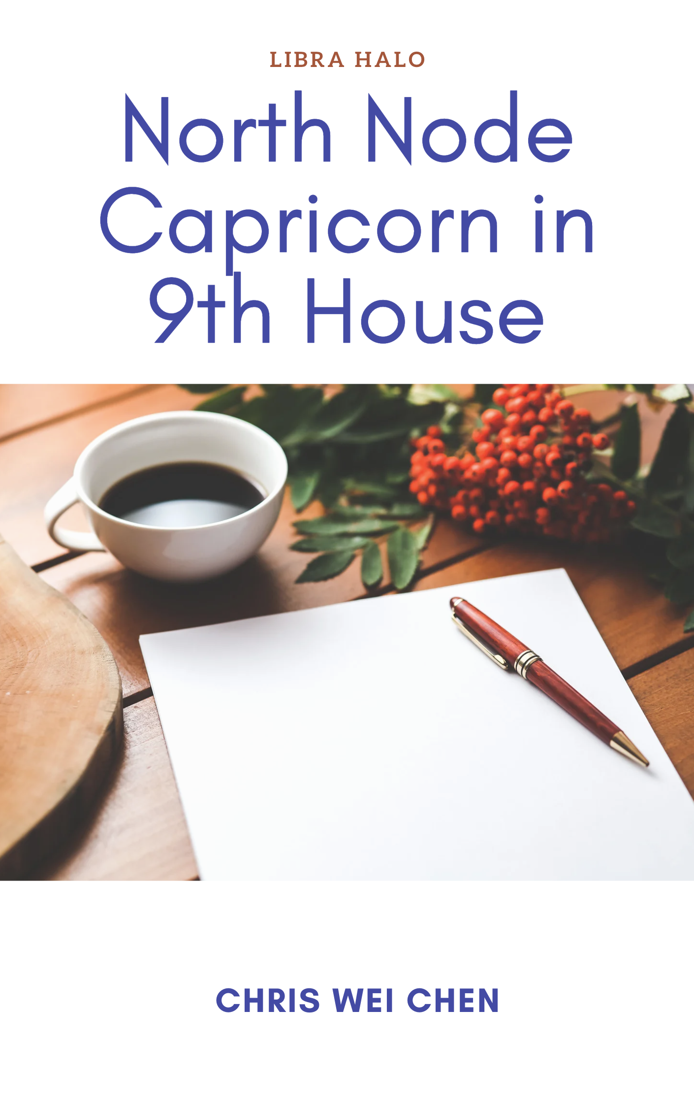 North Node Capricorn 9th House Series