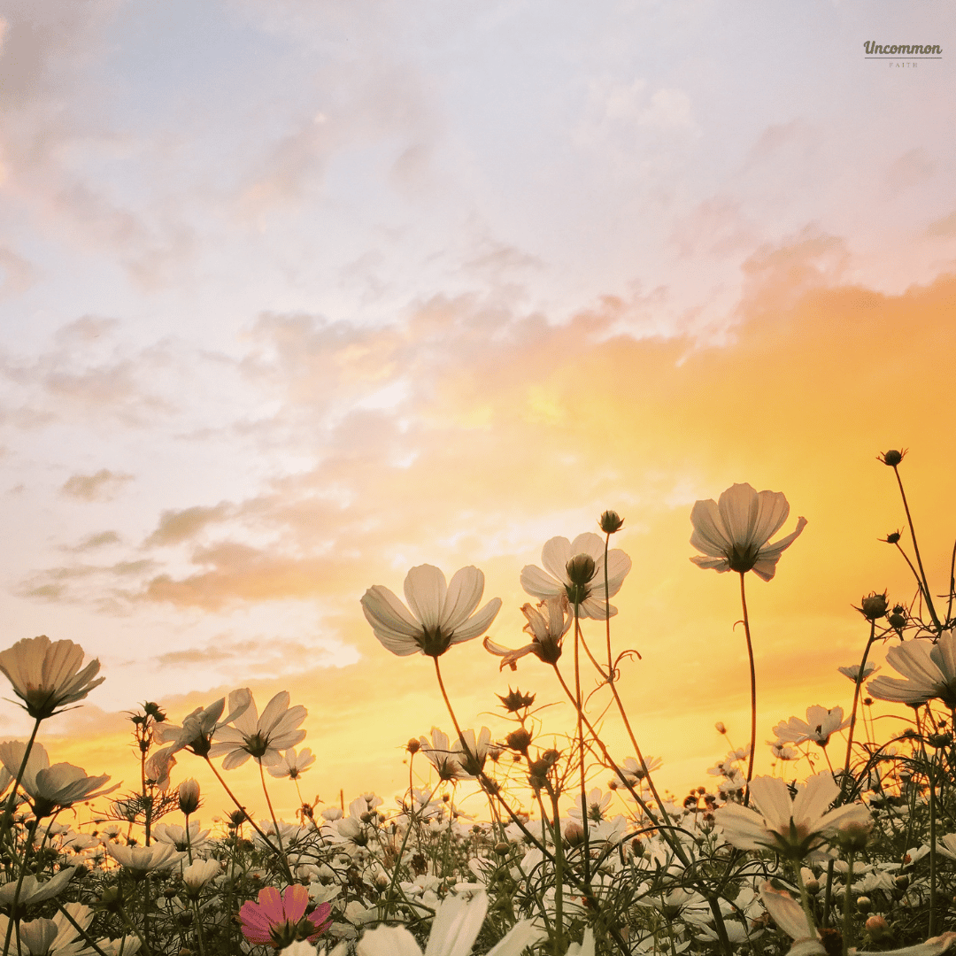 My Uncommon Faith