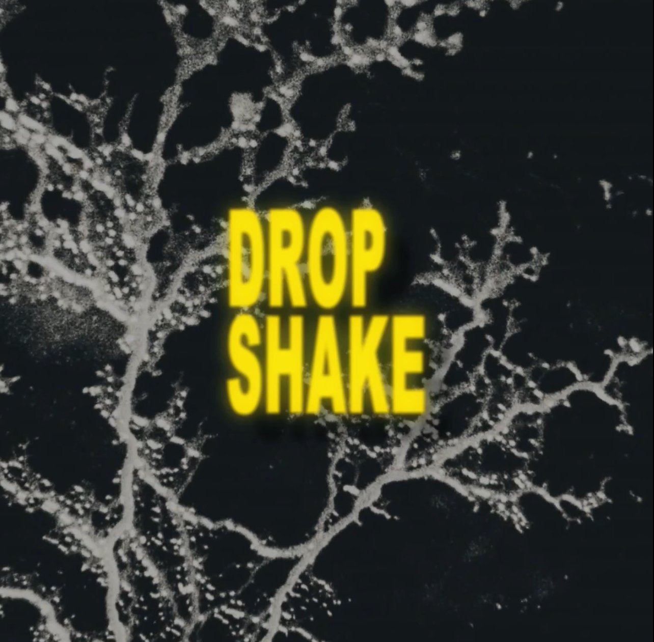 drop shake - Payhip