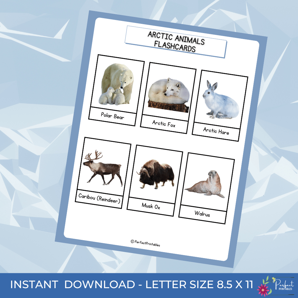Arctic Animals Flashcards - Winter Polar Animal 3 Parts Montessori ...