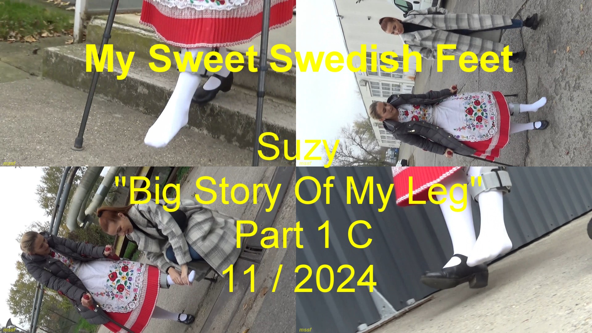 2025-03-06 Suzy - Big Story Of My Leg - Part 1 C (11-2024) - Payhip