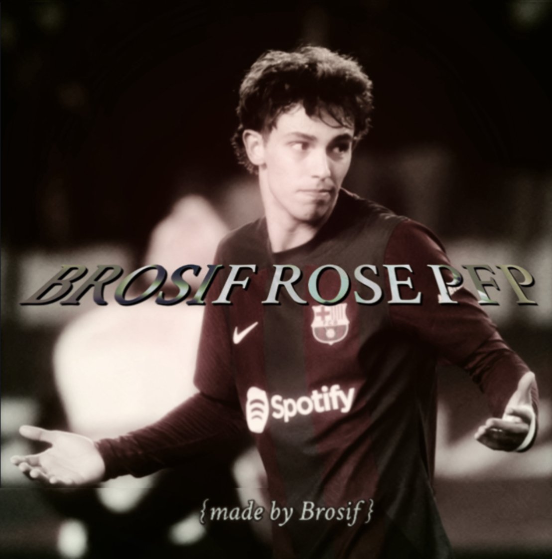 Brosif custom rose PFP - Payhip
