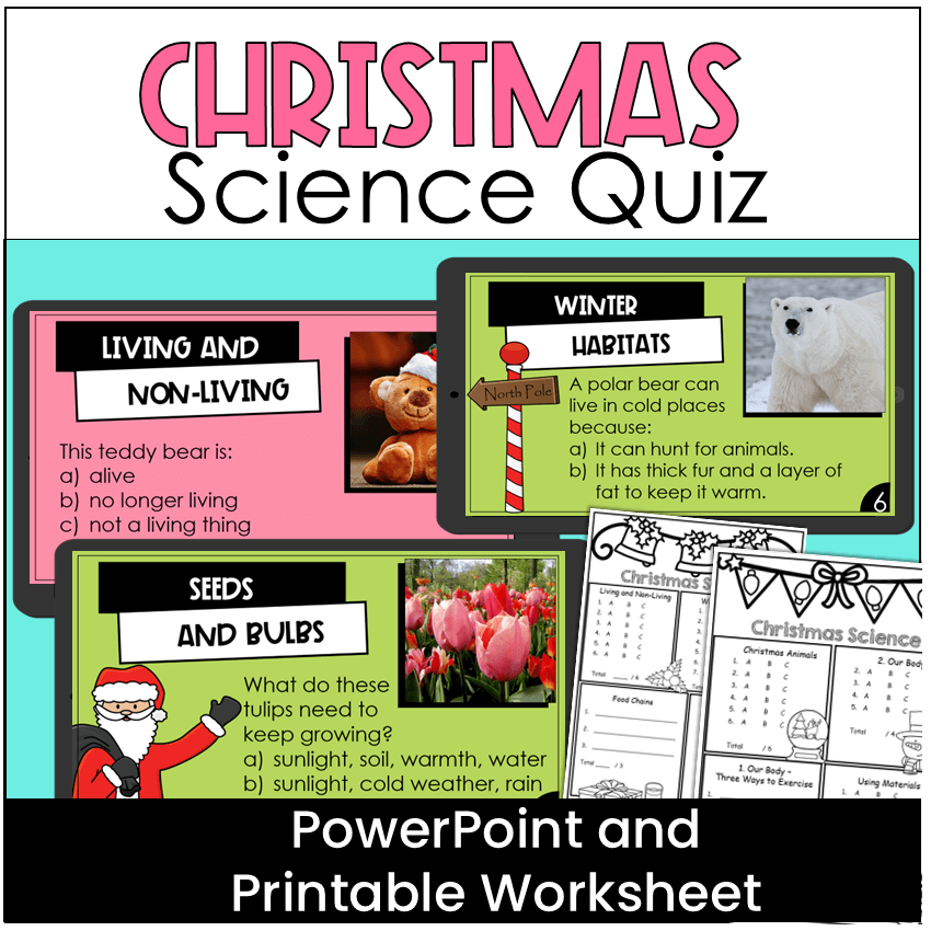 Christmas Wreath Contractions Craft 2nd Grade Grammar Fun