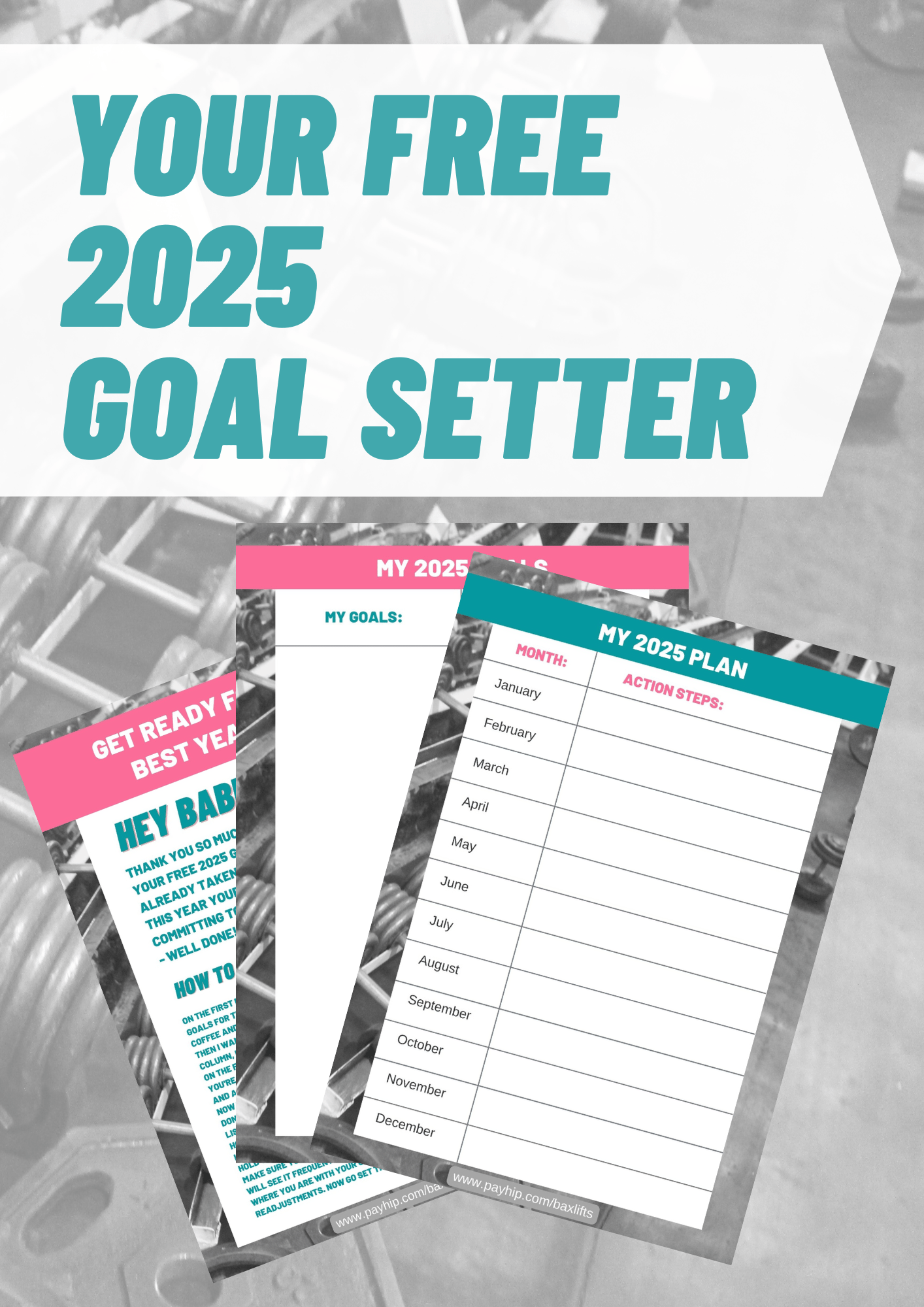 2025 Goal Setter - Payhip