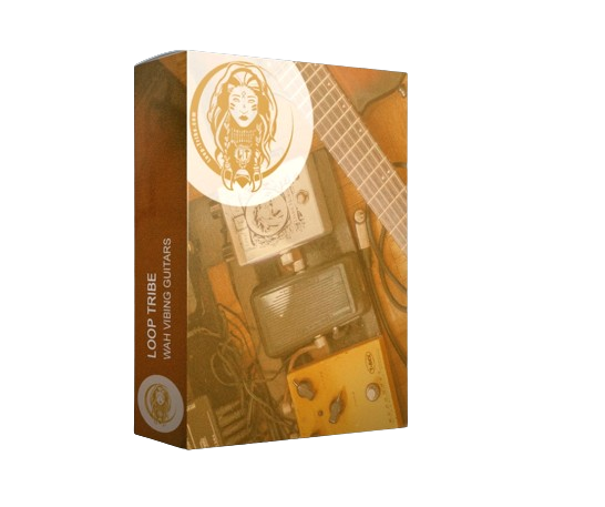 Guitar Loops Pack | Effect Wah Wah