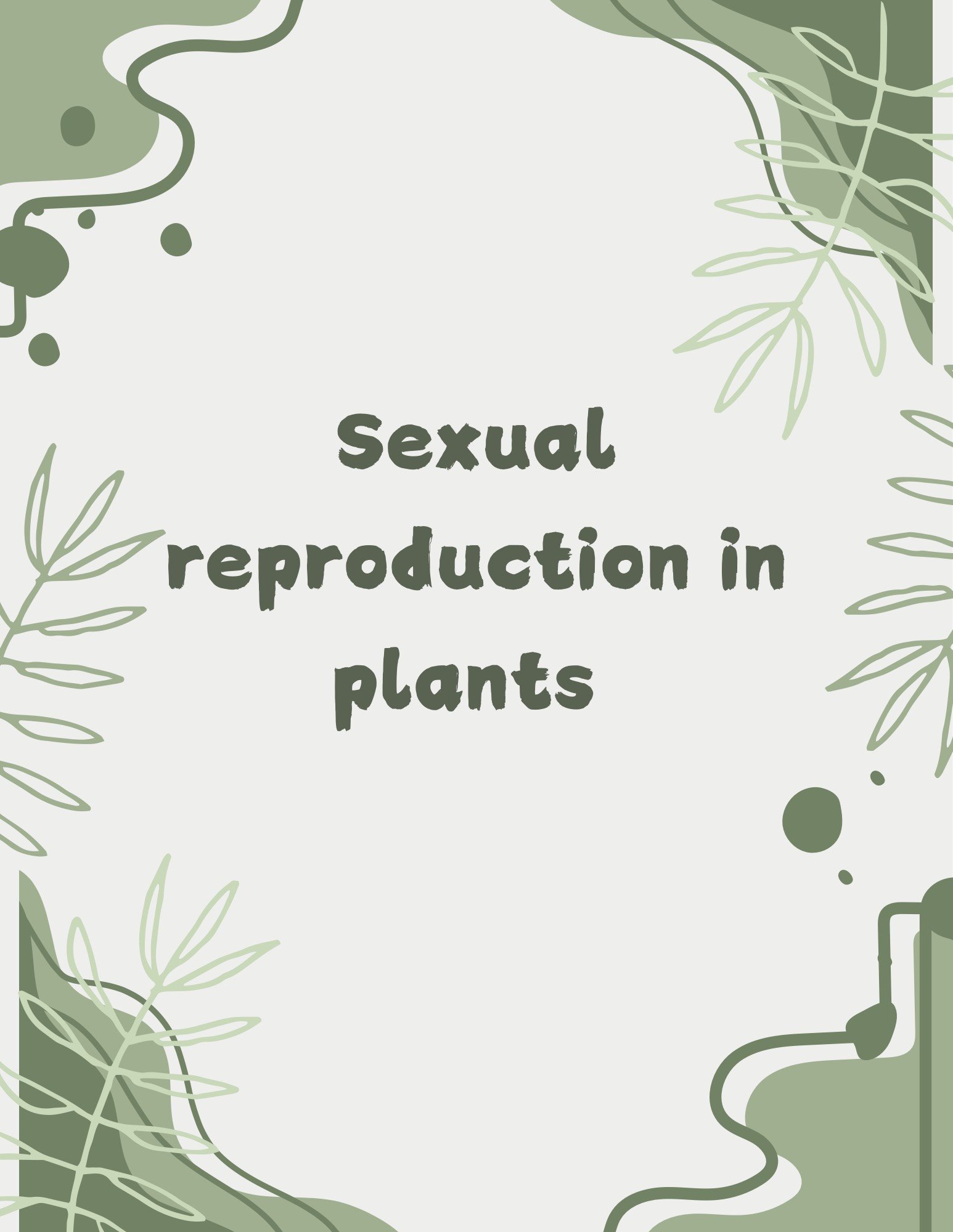 A Level Biology - Sexual reproduction in plants flashcards - Payhip