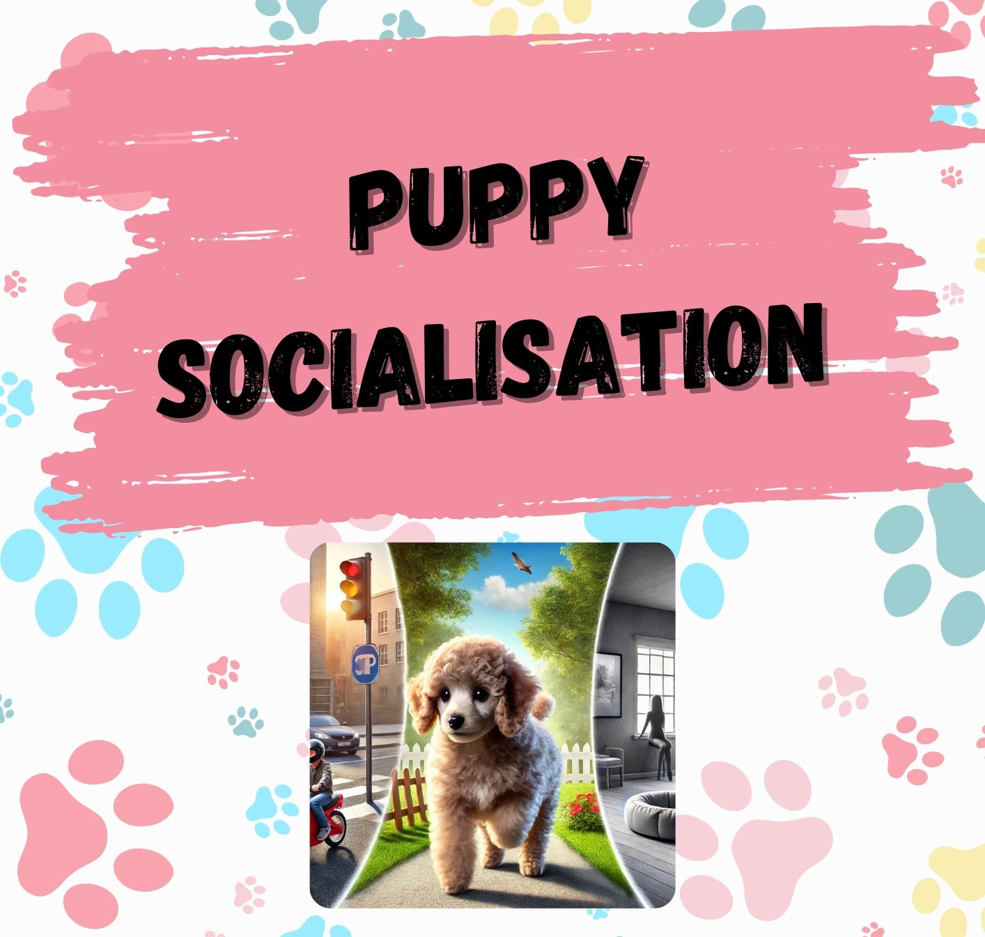 The Ultimate Puppy Socialisation guide - Payhip