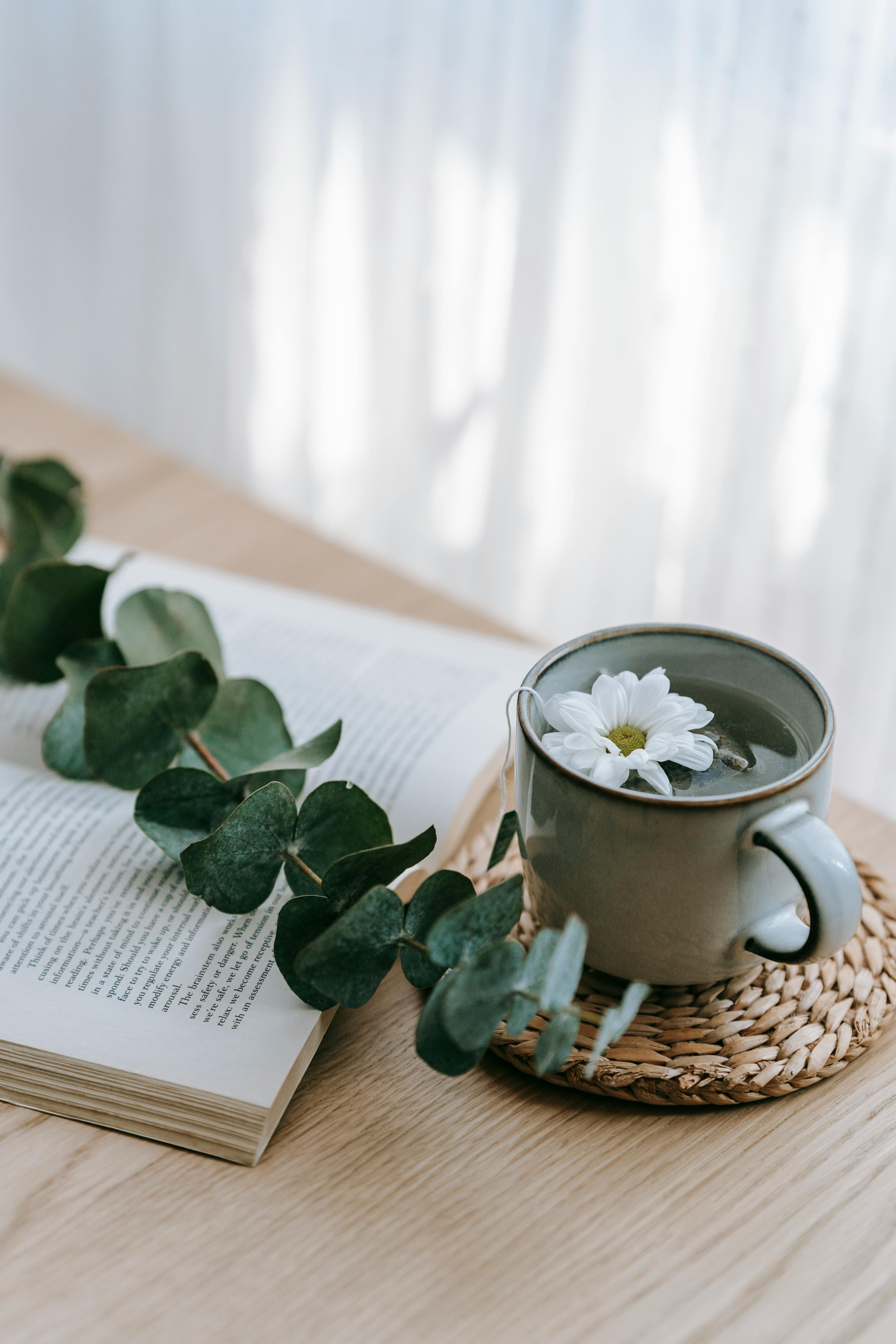 Mindfulness Glossary- A Guide To Commonly Used Mindfulness Terms