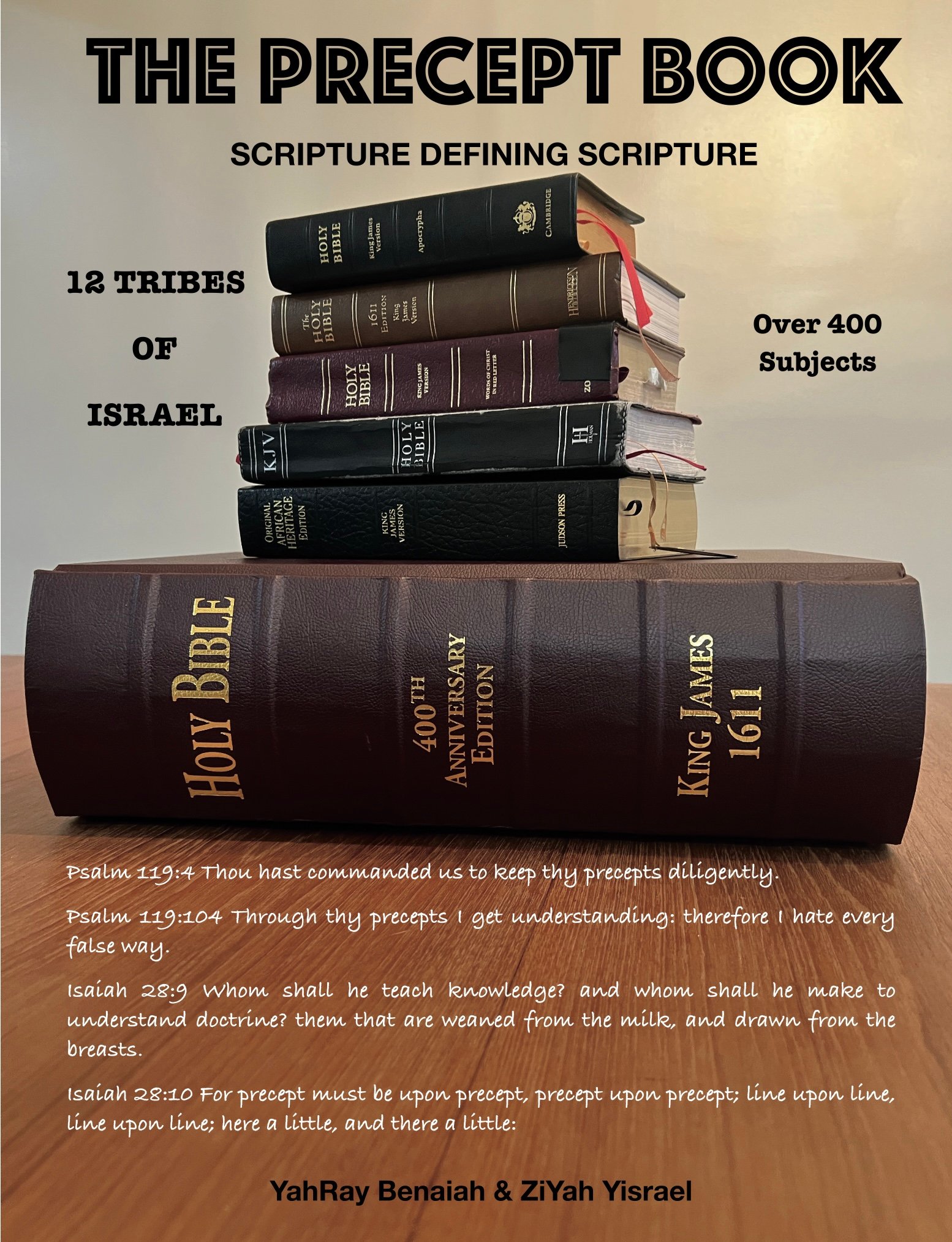 The Precept eBook - Payhip