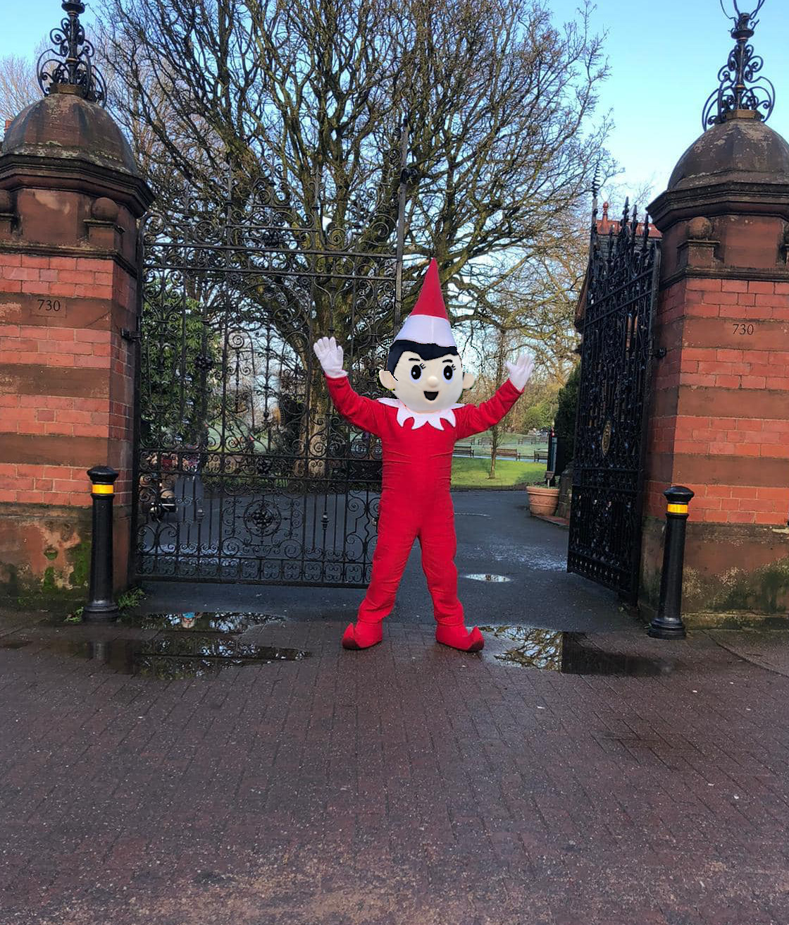 Mascot Hire