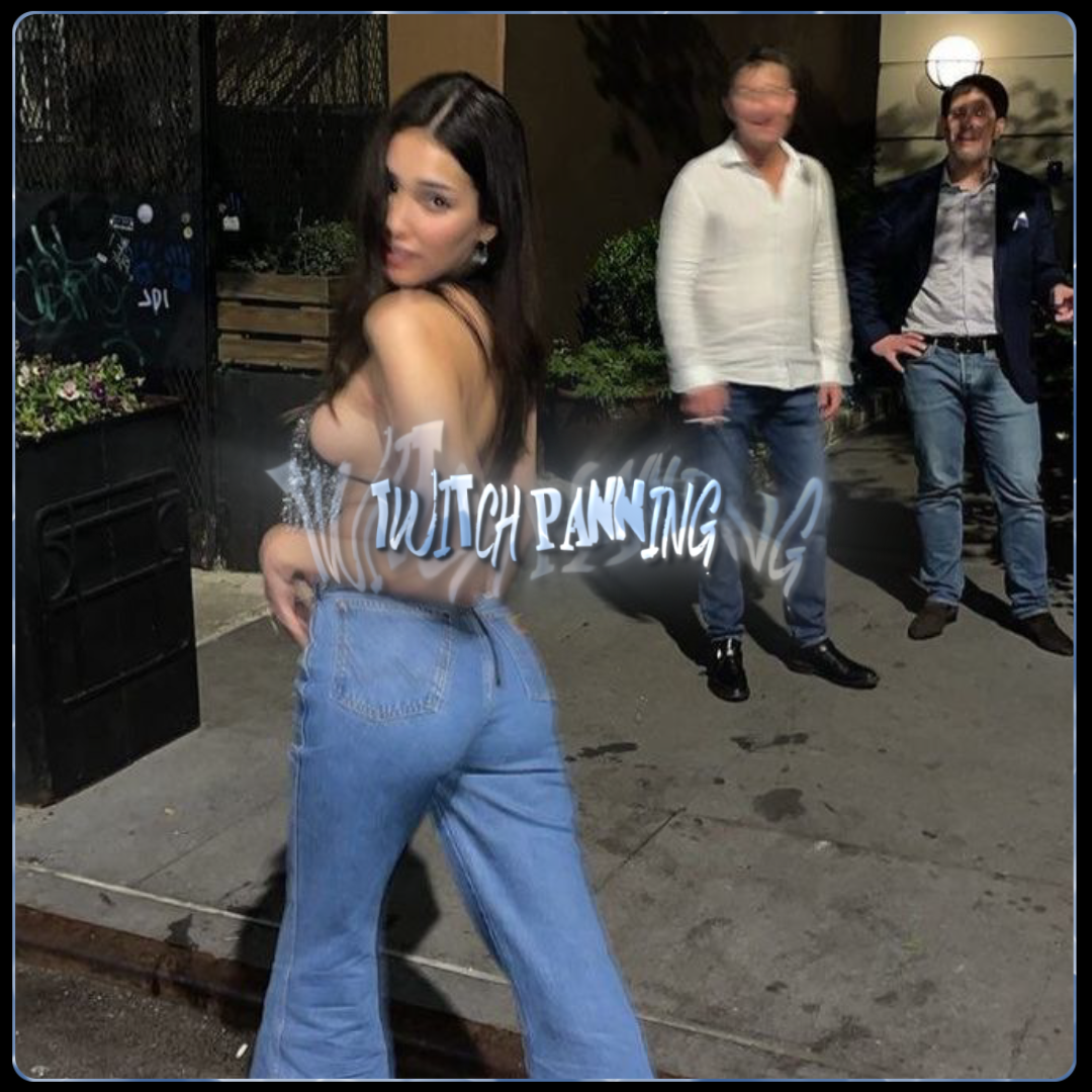 twitch panning - Payhip