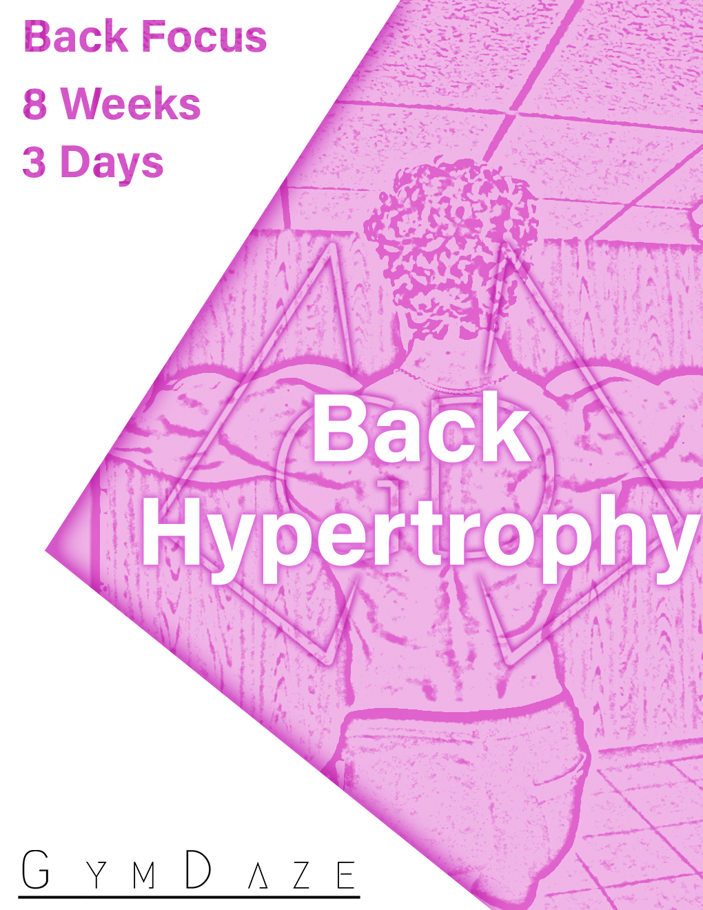 Back Focus Workout Program - Hypertrophy | GymDaze