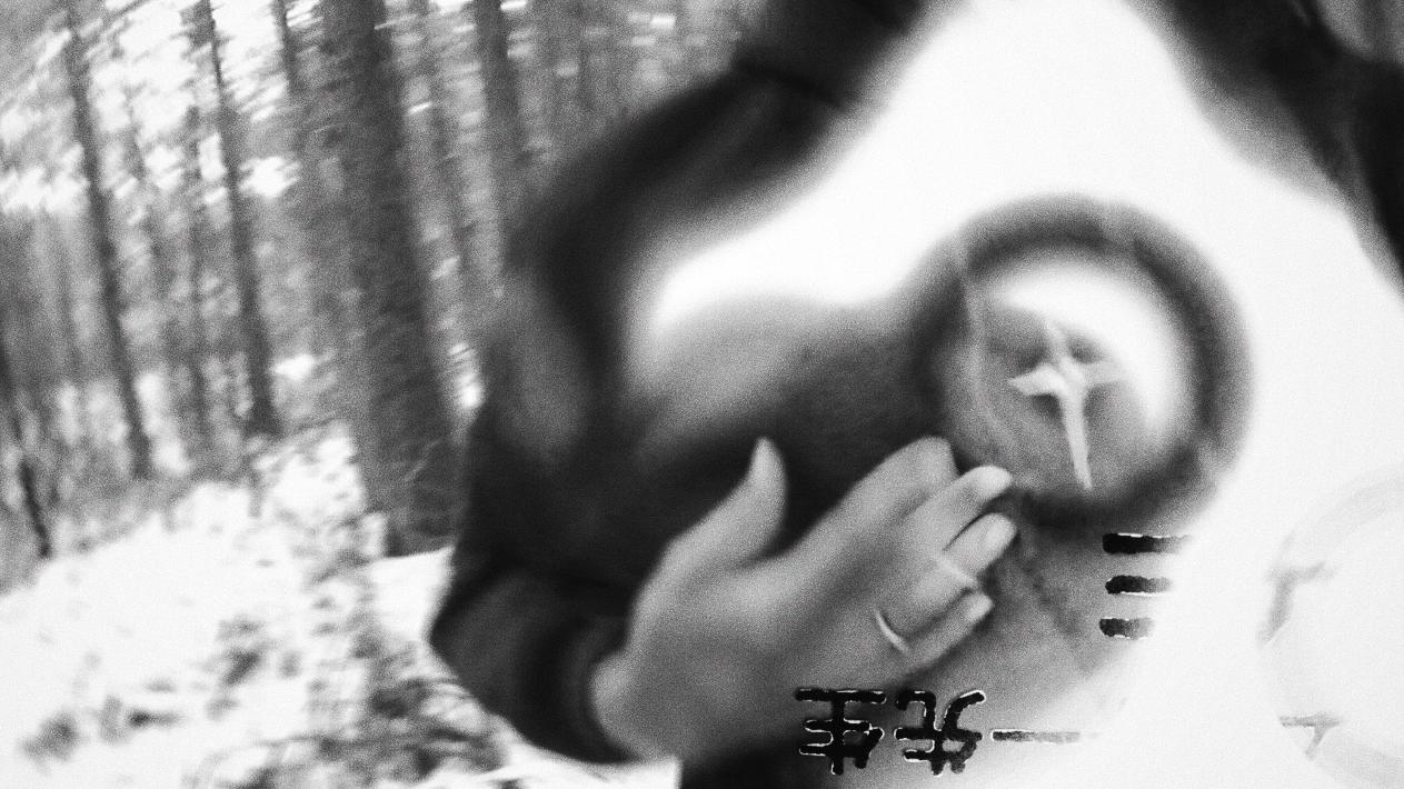 NO BLUFF (OFFICIAL MV) PF - Payhip