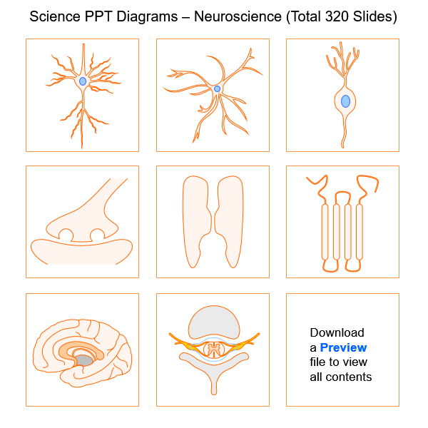 Science PPT - Neuroscience