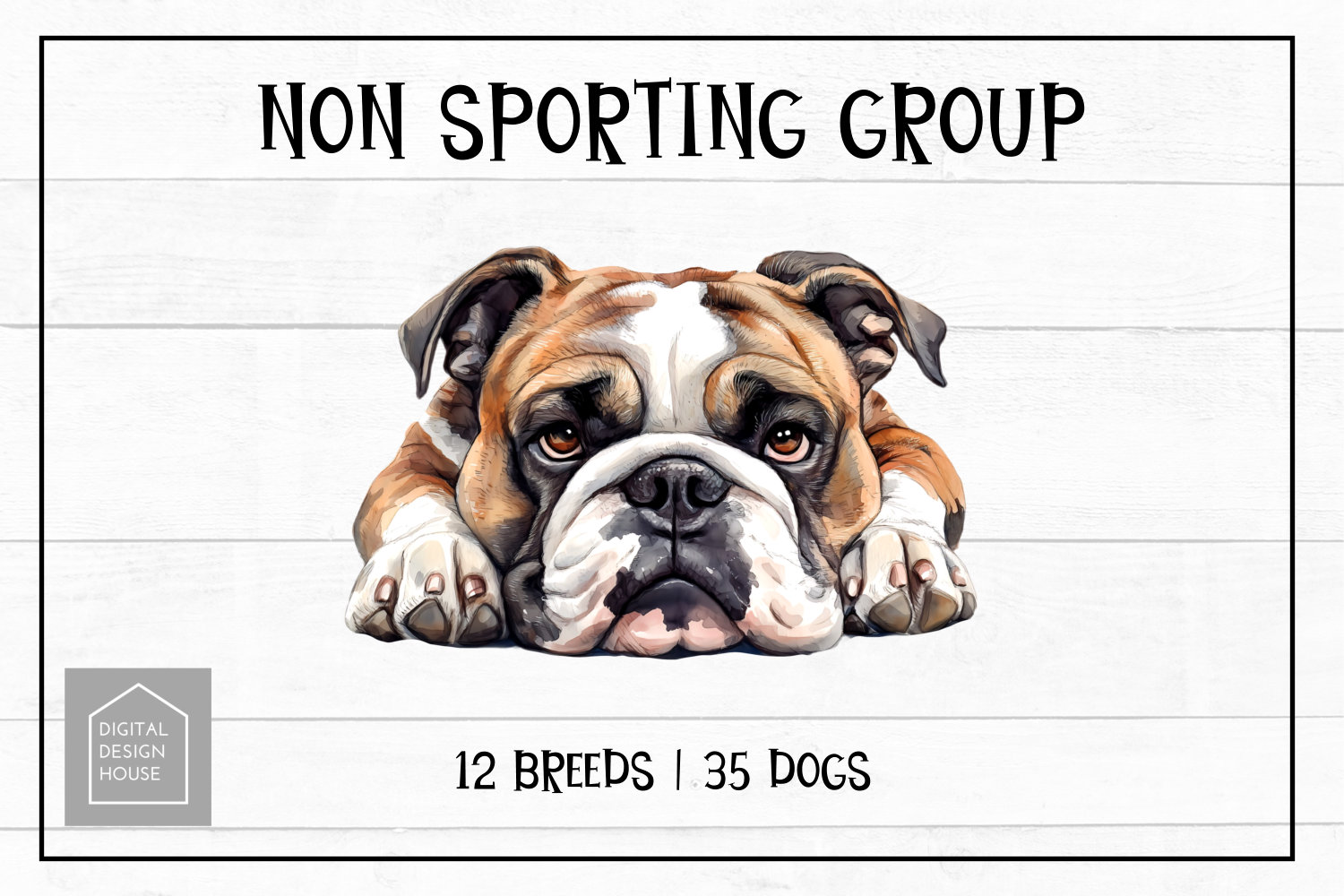 DOGS NON SPORTING Dog Group 12 Breeds 35 Dogs - Payhip