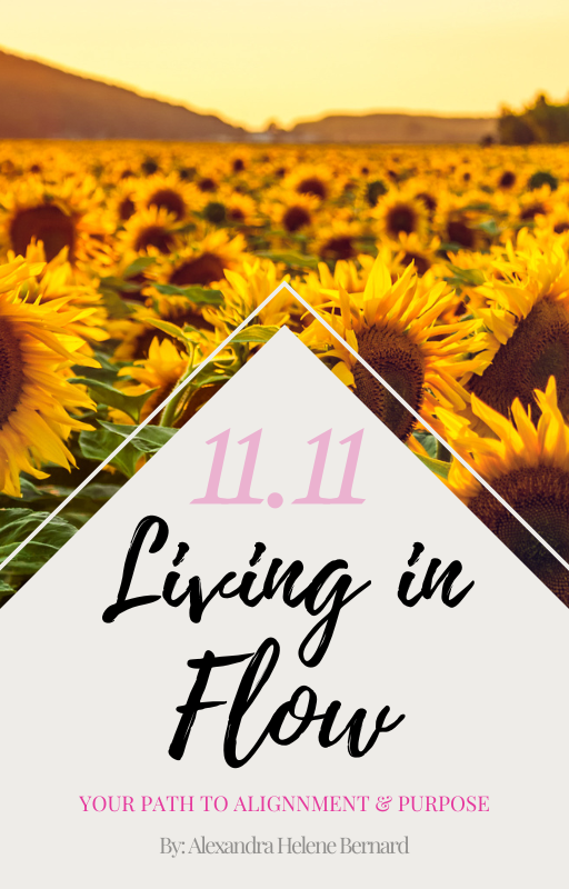 #11.11 Living in Flow - Your Path to Alignment & Purpose - Payhip