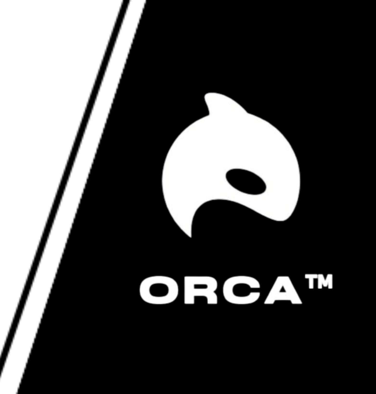 ORCA DEVELOPMENT