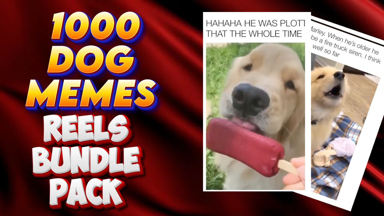 1000 dog memes reels bundle pack - Payhip
