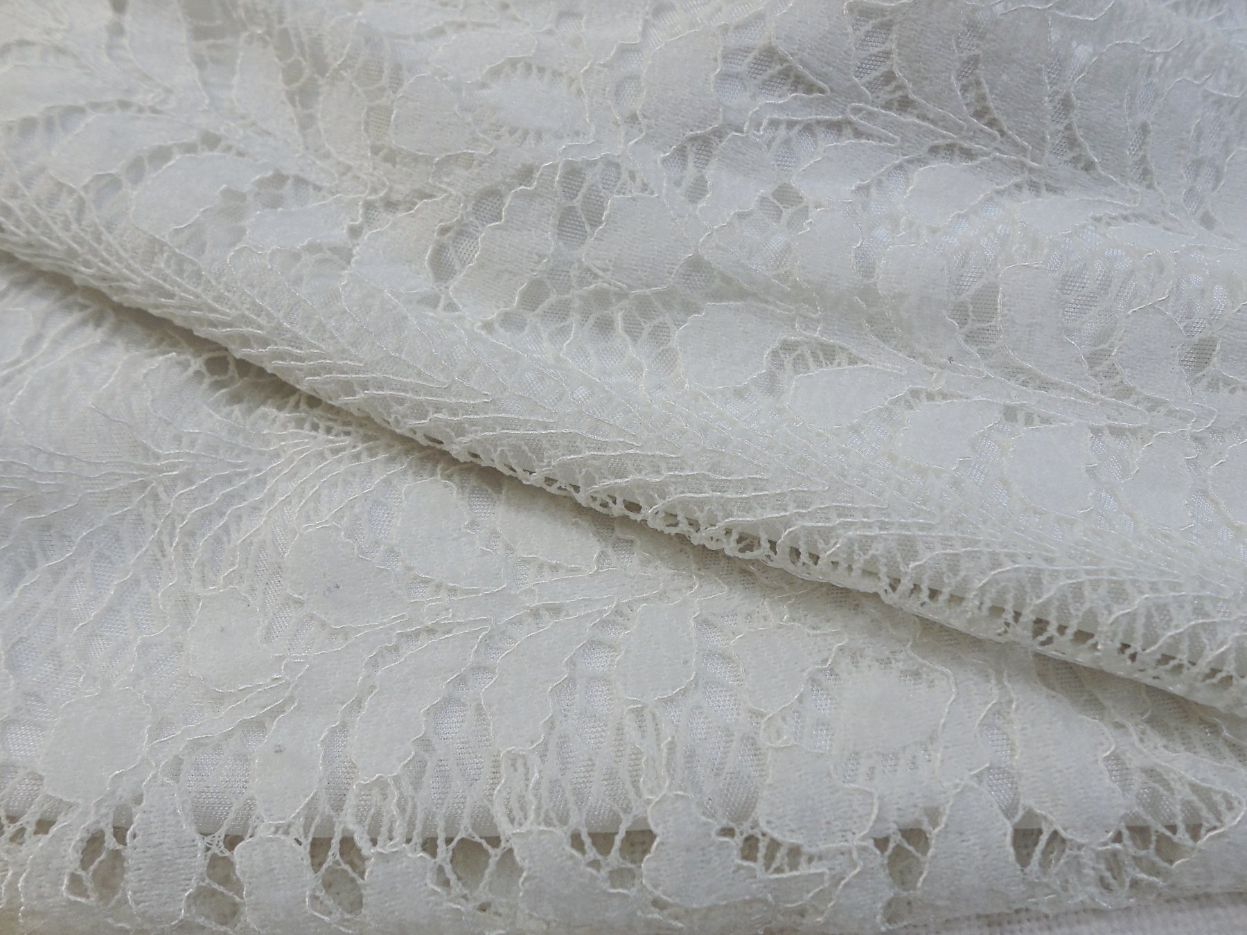 cream ferns - 17 x 9 inches - 1pc - Payhip