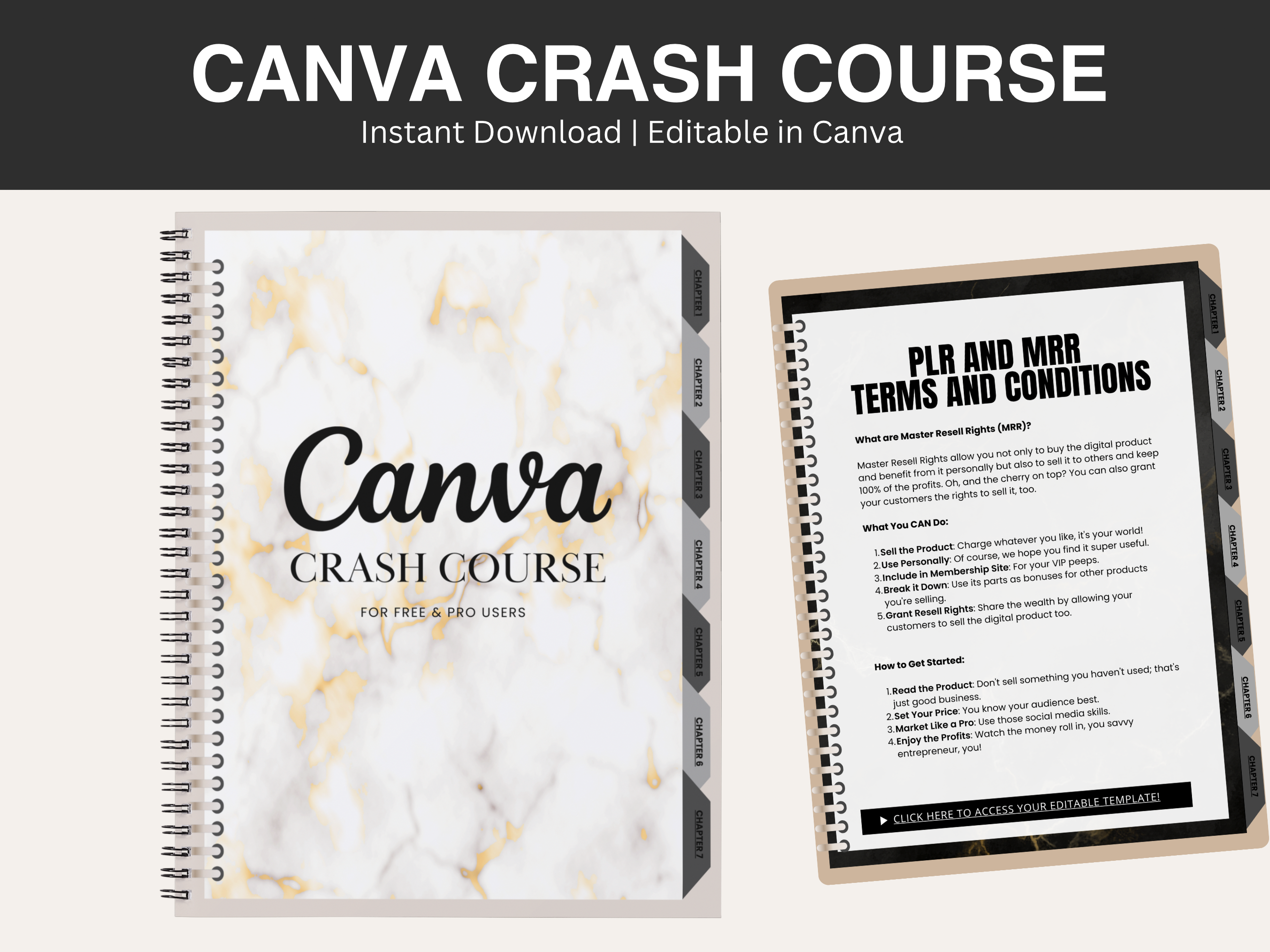 Beginner Canva Crash Course (With PLR Rights) - Payhip