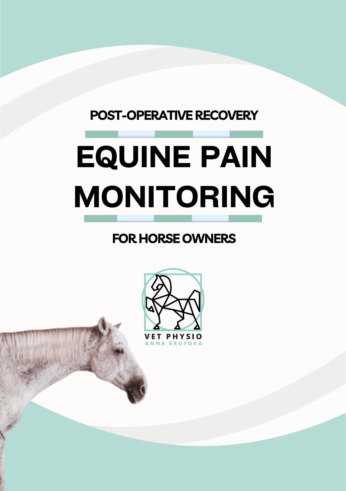 Equine Pain Assessment Sheet - Payhip