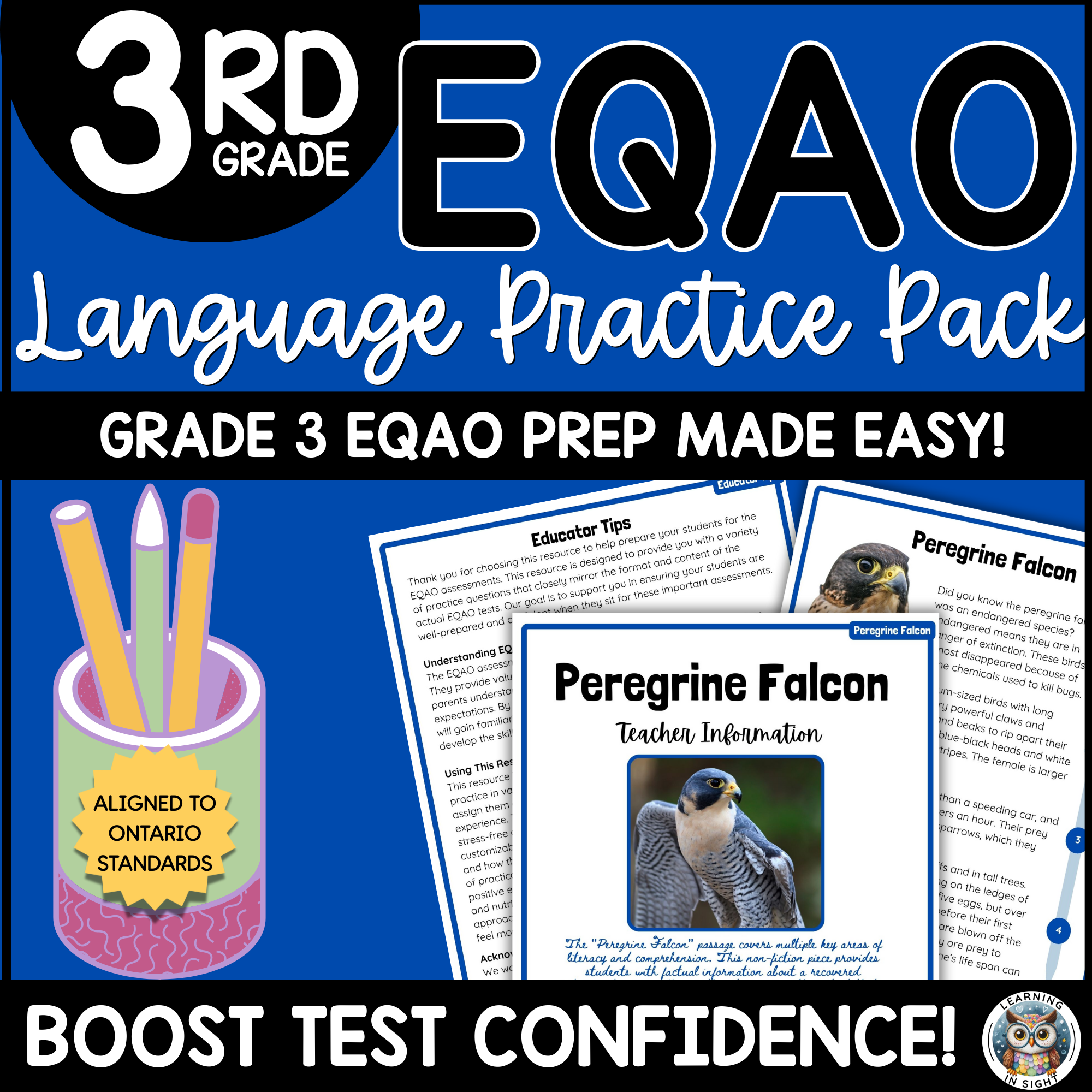EQAO Grade 3 Language Test Preparation - Payhip