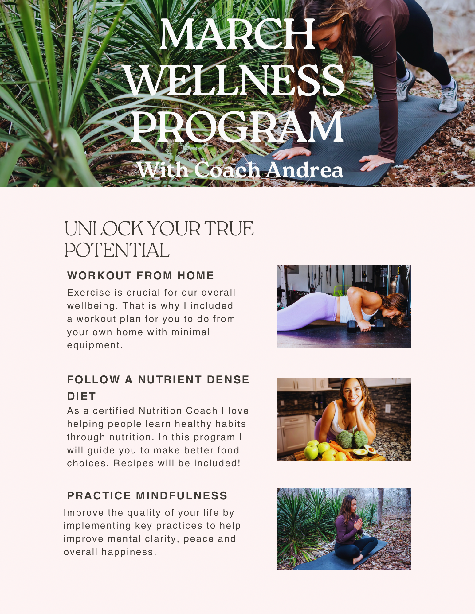 March Wellness Program - Payhip